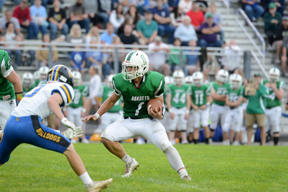 Valley defense tough on ’Dawgs | News, Sports, Jobs - Altoona Mirror